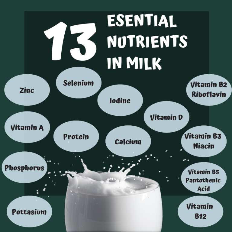 13 Essential Nutrients in Milk | Eco Yap | Fresh Milk Made In Sabah